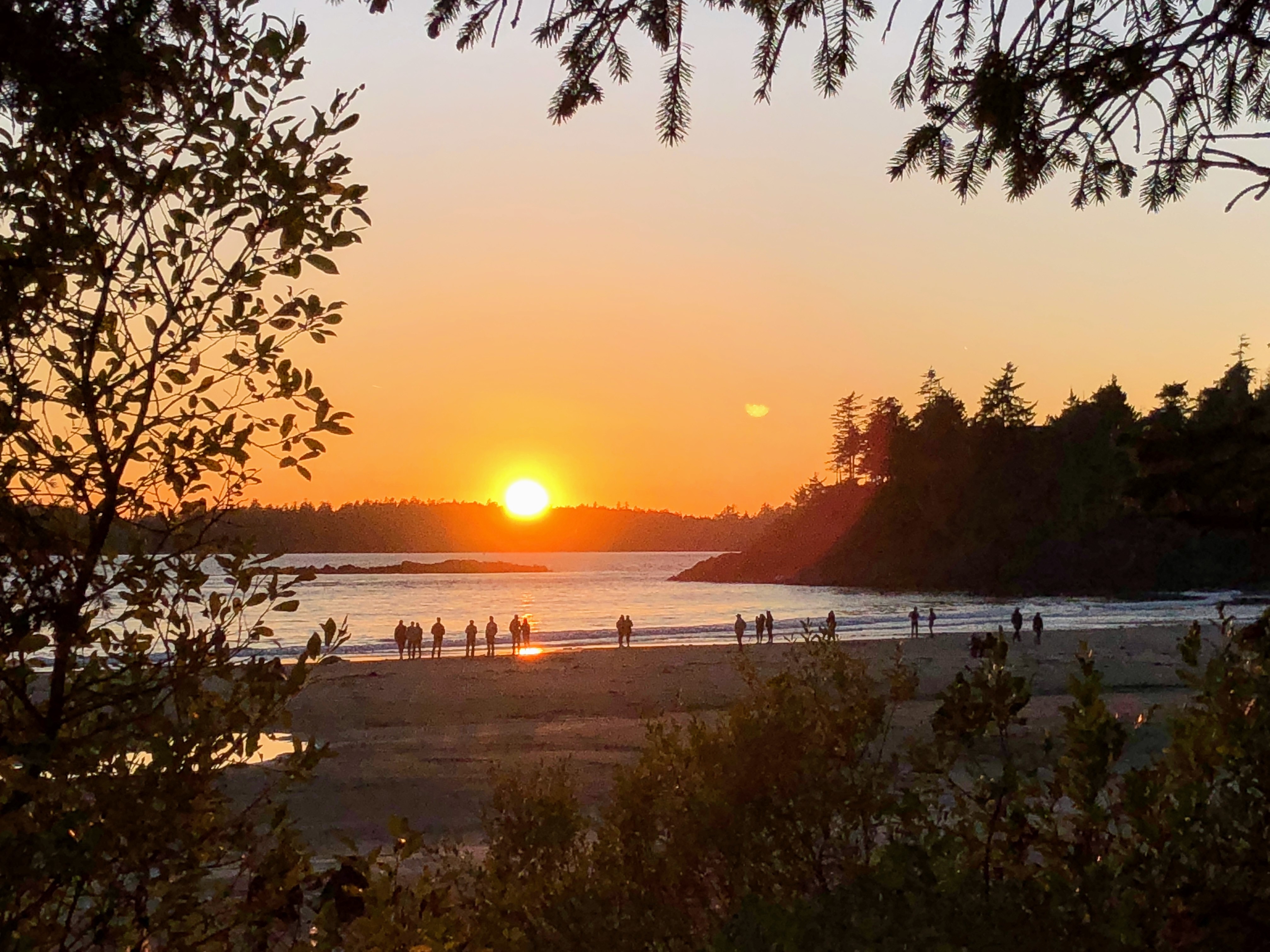 Vancouver Island Vanlife - Traveling Light
